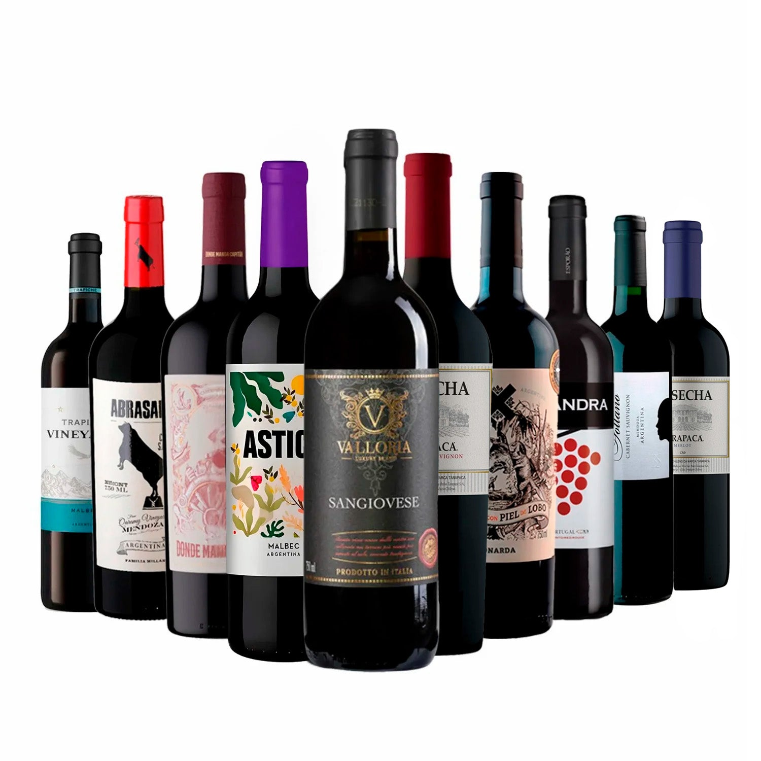 Kit 10 Tintos Acessíveis – Vinsel Vinhos