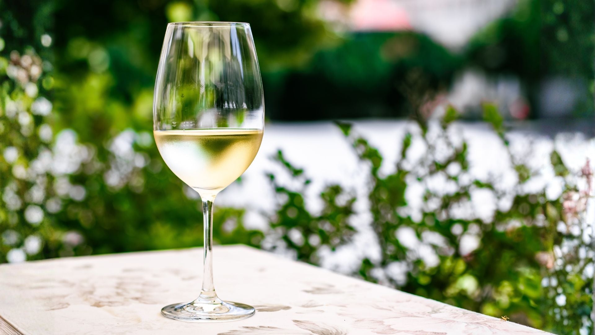 Vinho e Calor: Por que a acidez faz toda a diferença nos dias quentes ...