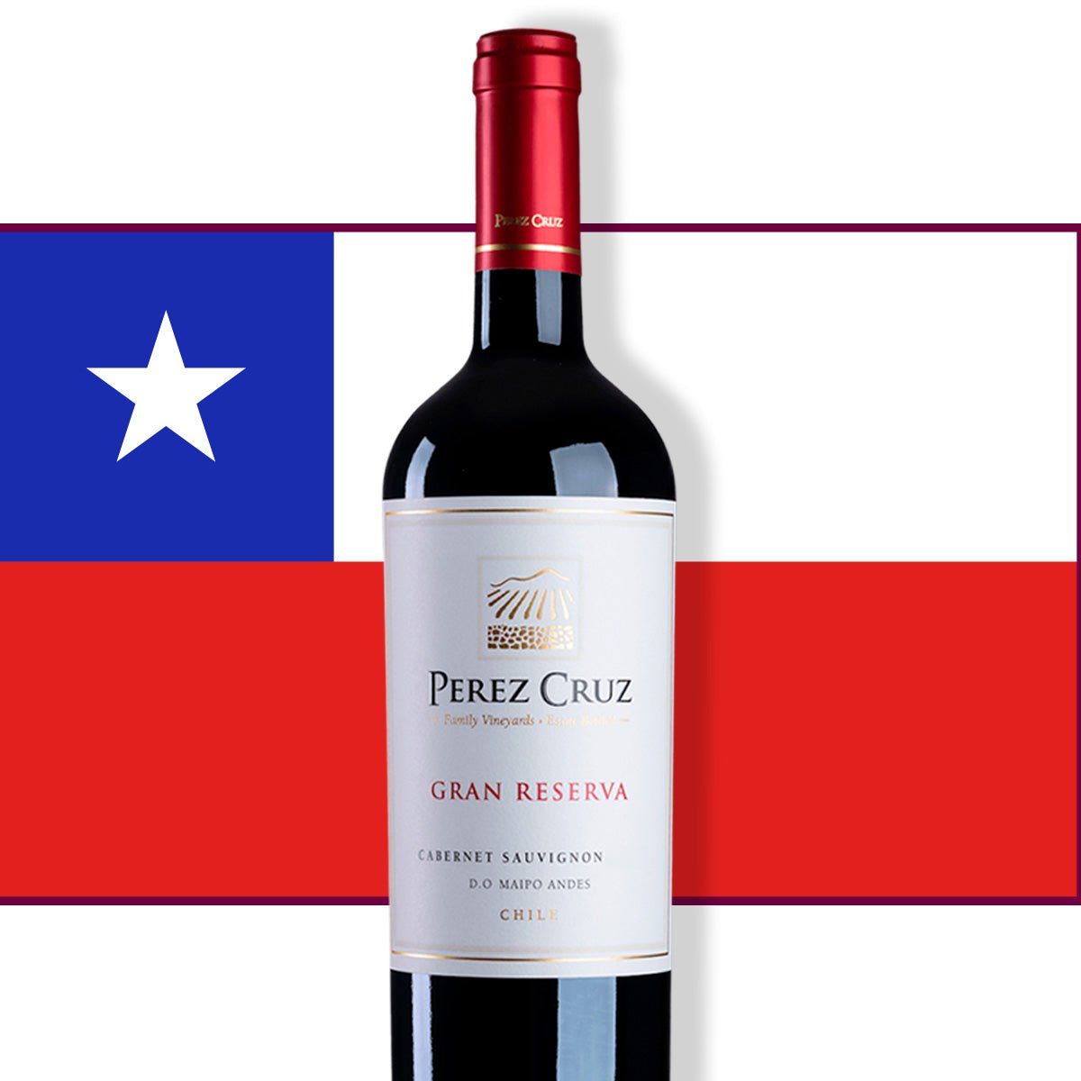 Vinho Perez Cruz Gran Reserva Cabernet Sauvignon – Vinsel Vinhos