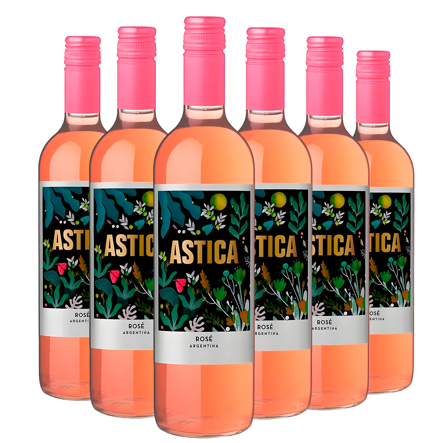 Kit 6 Trapiche Astica Rosé Cabernet Sauvignon – Vinsel Vinhos