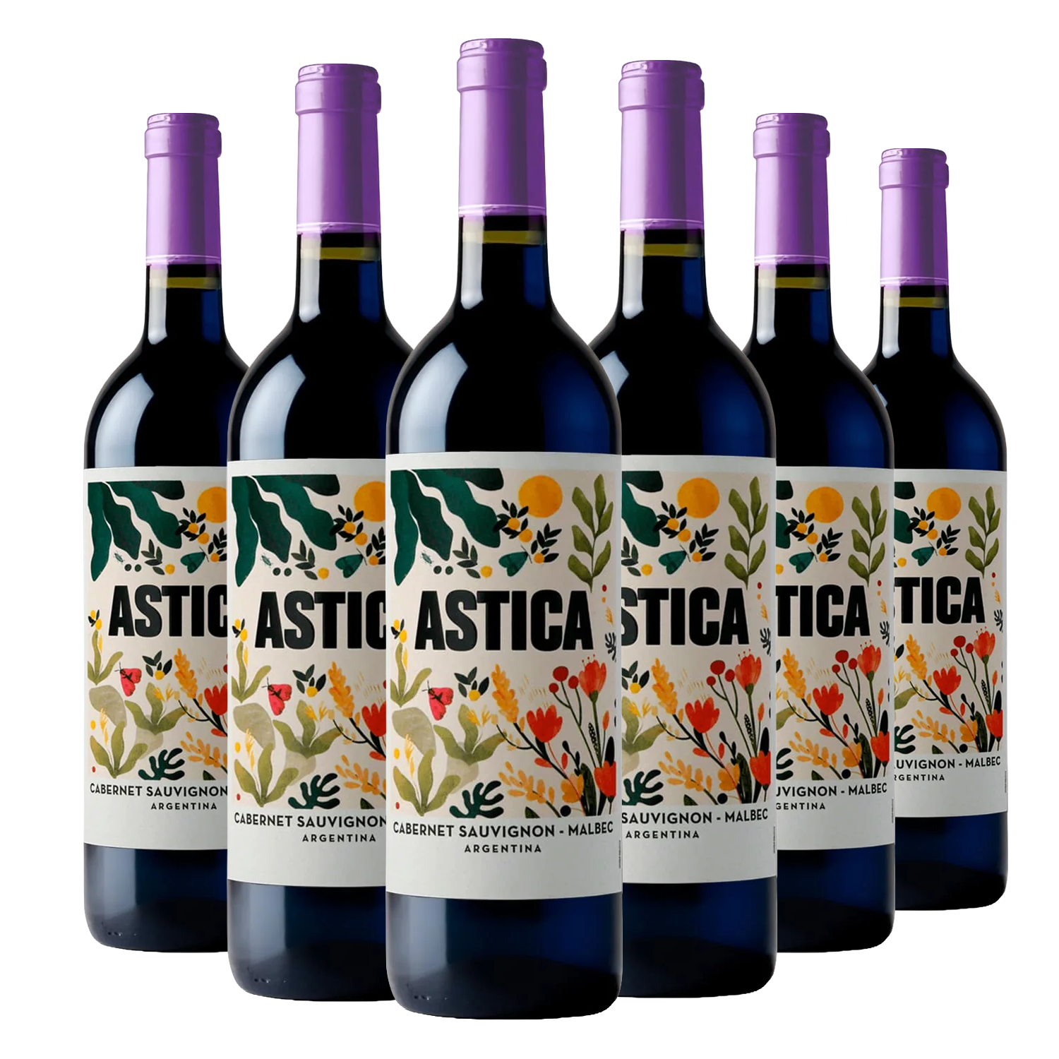 Kit 6 Trapiche Astica Cabernet Sauvignon – Vinsel Vinhos